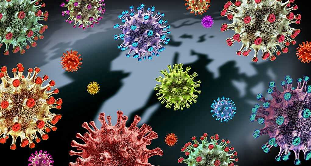 DEADLY Virus OUTBREAK Devastates America’s Cowboys | US News Network